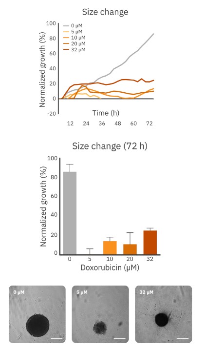 Best Practices for in vitro Potency Assays on the Maestro Z | Axion ...