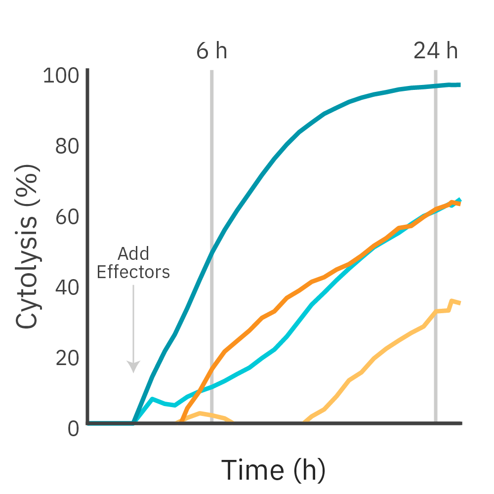 In vitro CAR T Cell Killing assay | Axion Biosystems