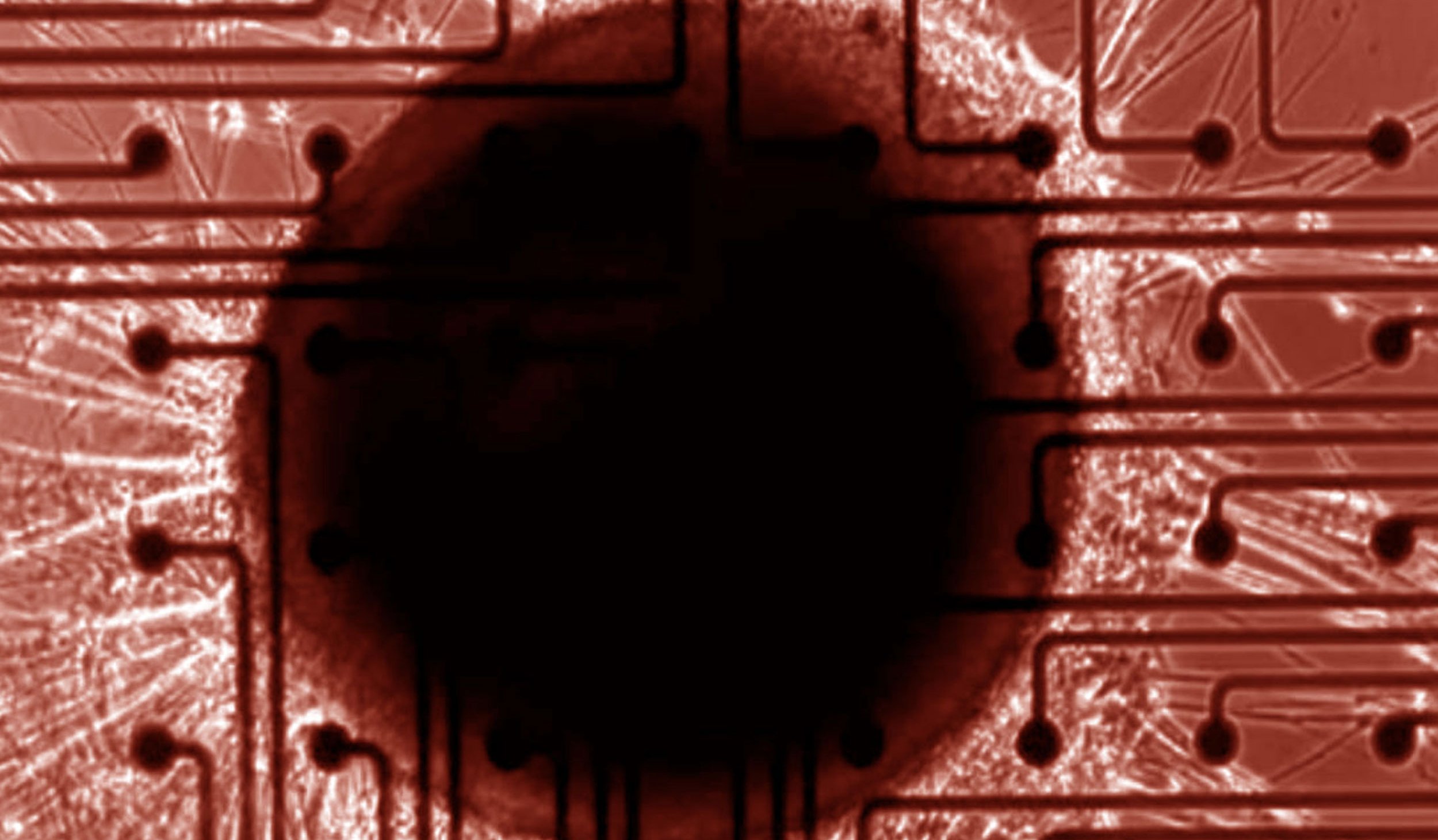 Neural Organoids Assay in Real Time | Axion Biosystems