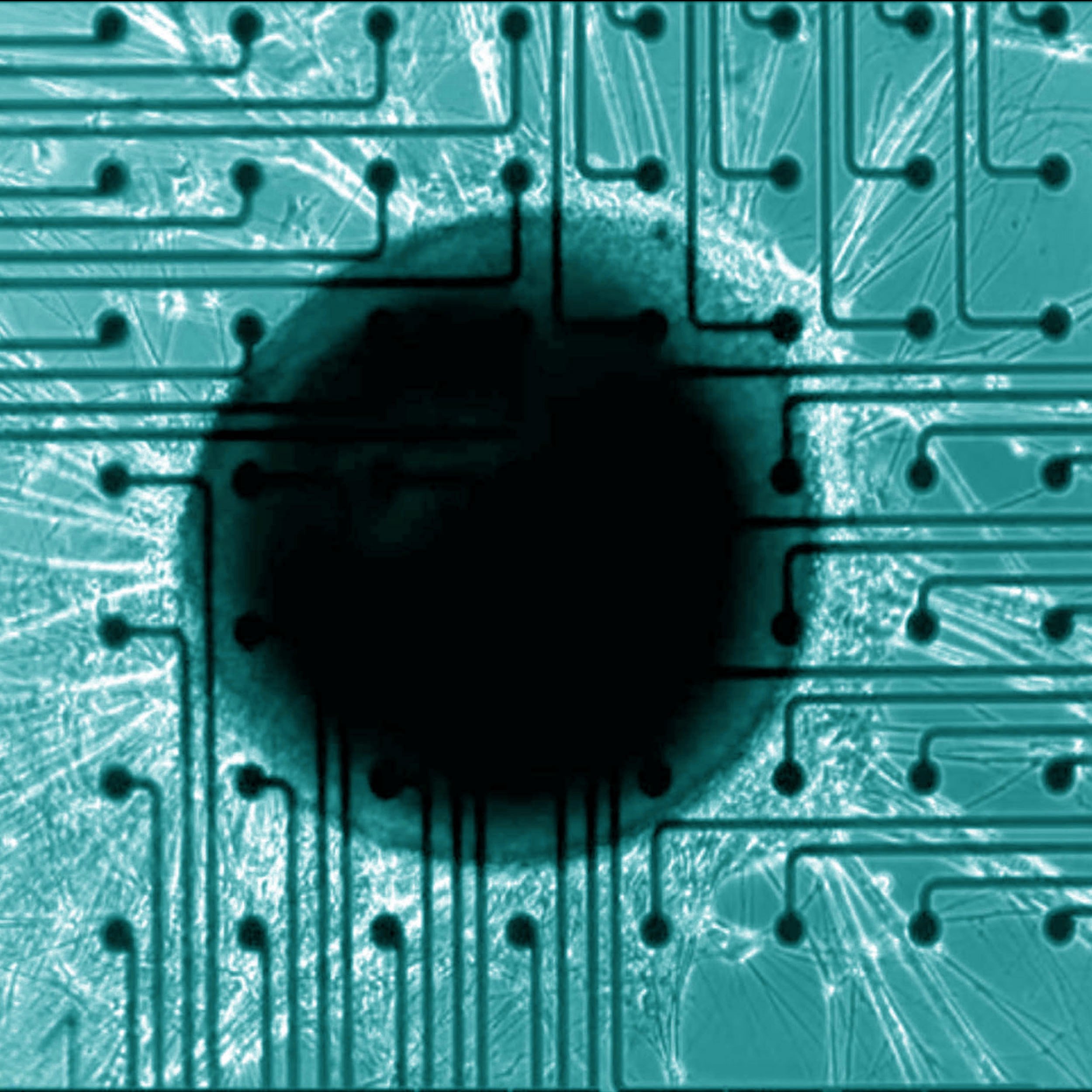 Neural Organoids Assay in Real Time | Axion Biosystems