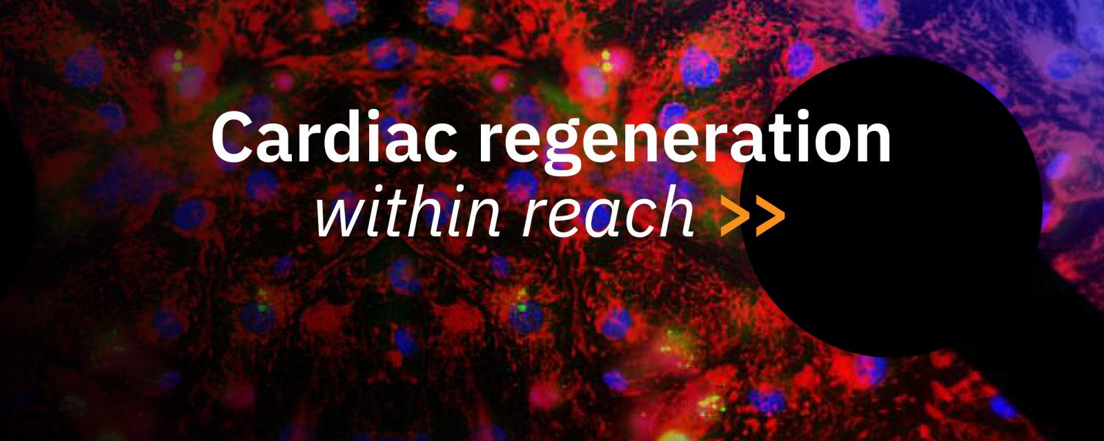 Explore our live-cell analysis platforms | Axion Biosystems