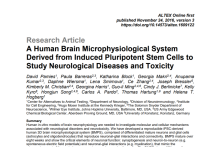 A human brain microphysiological system derived from induced ...