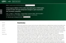 Heterozygous deletion of the autism-associated gene CHD8 impairs ...