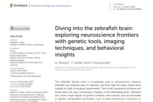 Diving into the zebrafish brain: exploring neuroscience frontiers with ...